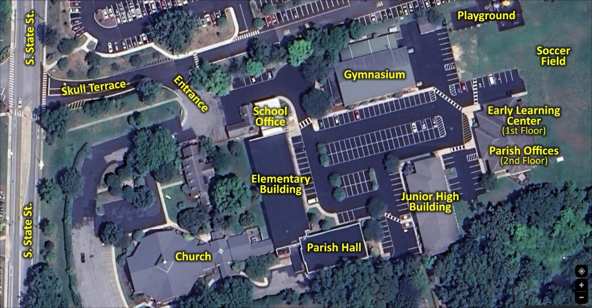 Contact the School